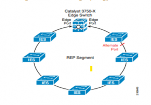 How is Spanning Tree Protocol | Resilient Ethernet Protocol