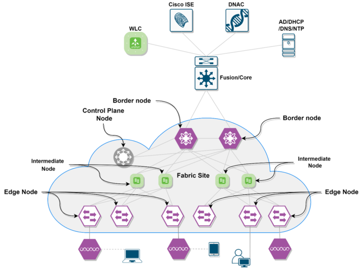 Terminology for the SD-Access Fabric | Zindagi Technologies